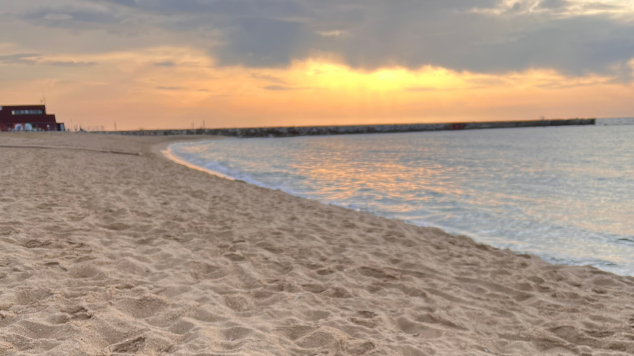 Sungazing 🌞 grounding y mindfulness en la playa de Barcelona ¡Miércoles ...